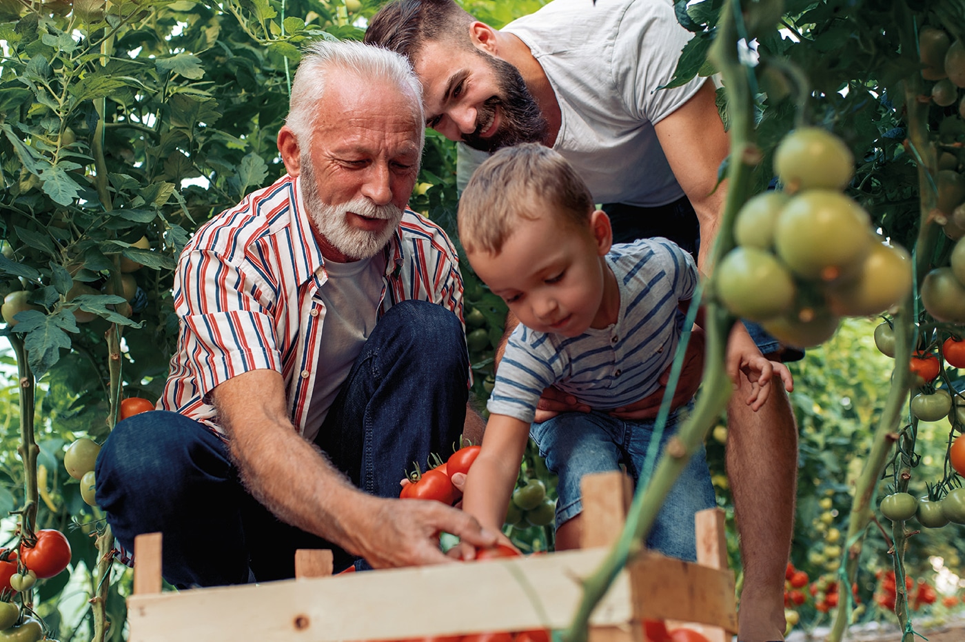 Prosjektet - Ankerhagen
